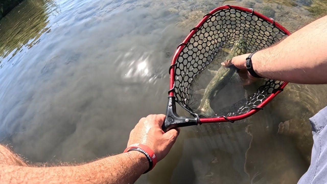 Pescando Truchas en Río Aconcagua - YouTube