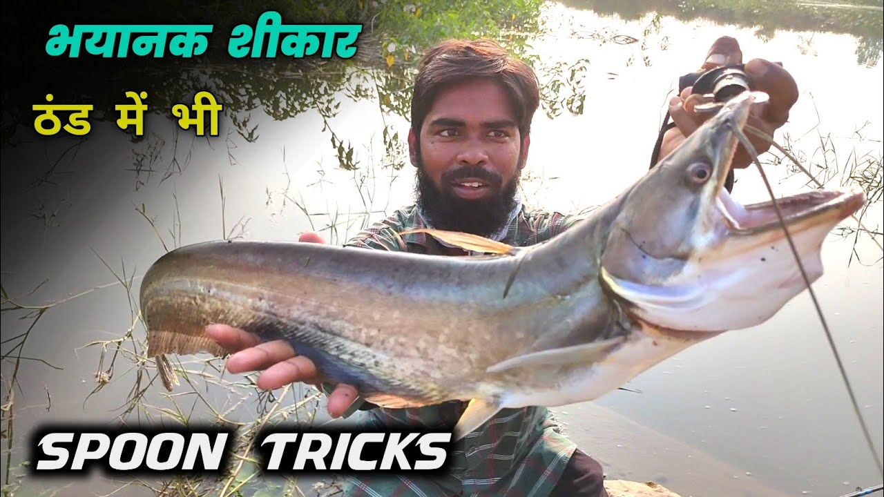 ठंड में भयानक शीकार | Fish Hunting in Cool | Wallago Attu Fishing ...