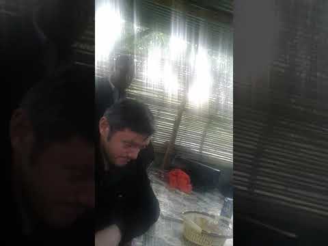 Gədəbəy saratofqa