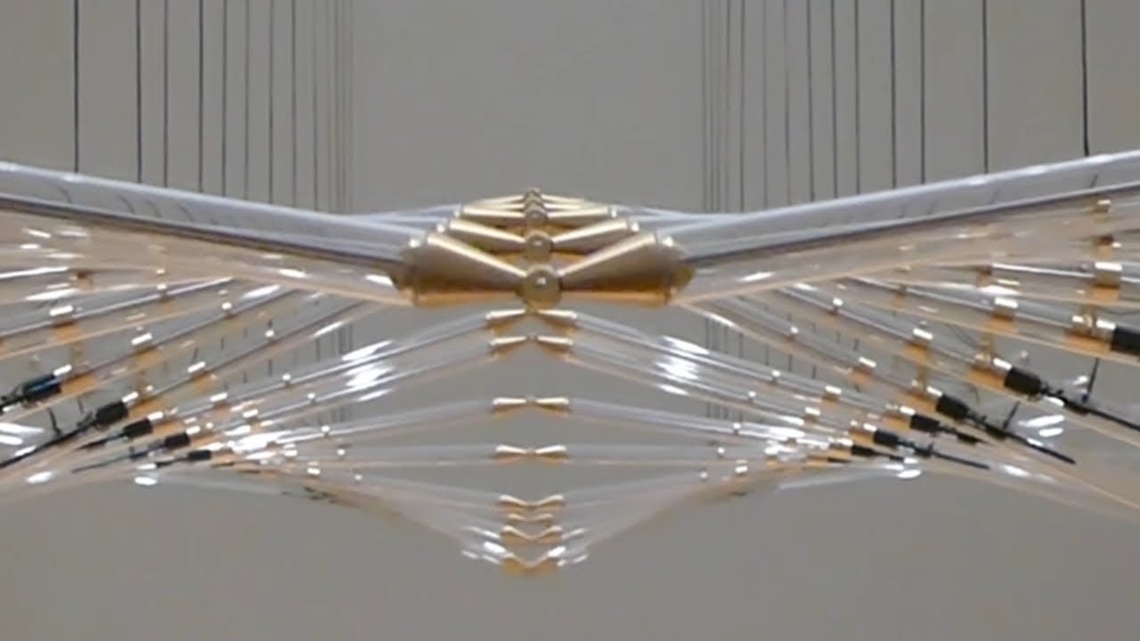 Studio Drift - Coded Nature - YouTube