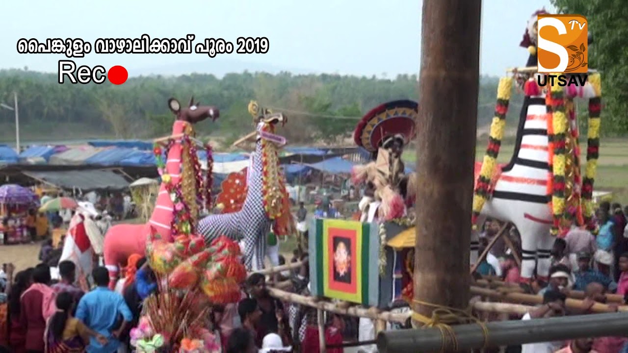 PAINKULAM VAZHALIKAVU POORAM 2019 - YouTube
