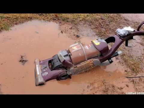 Bissell Momentum Vacuum Destruction - YouTube