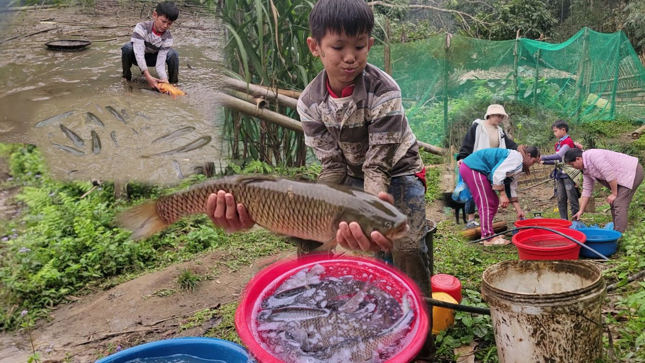 The boy caught a huge school of fish to sell to buy milk for the baby ...