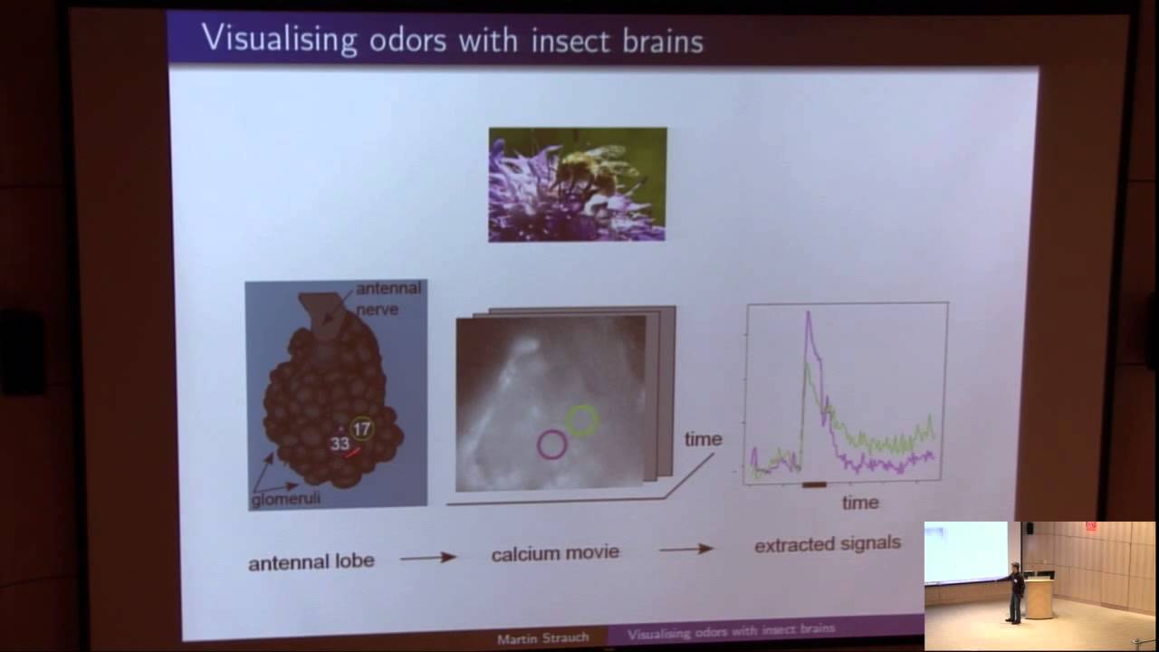 VIZBI 2013: BioVis Honorable Mention - Martin Strauch - YouTube