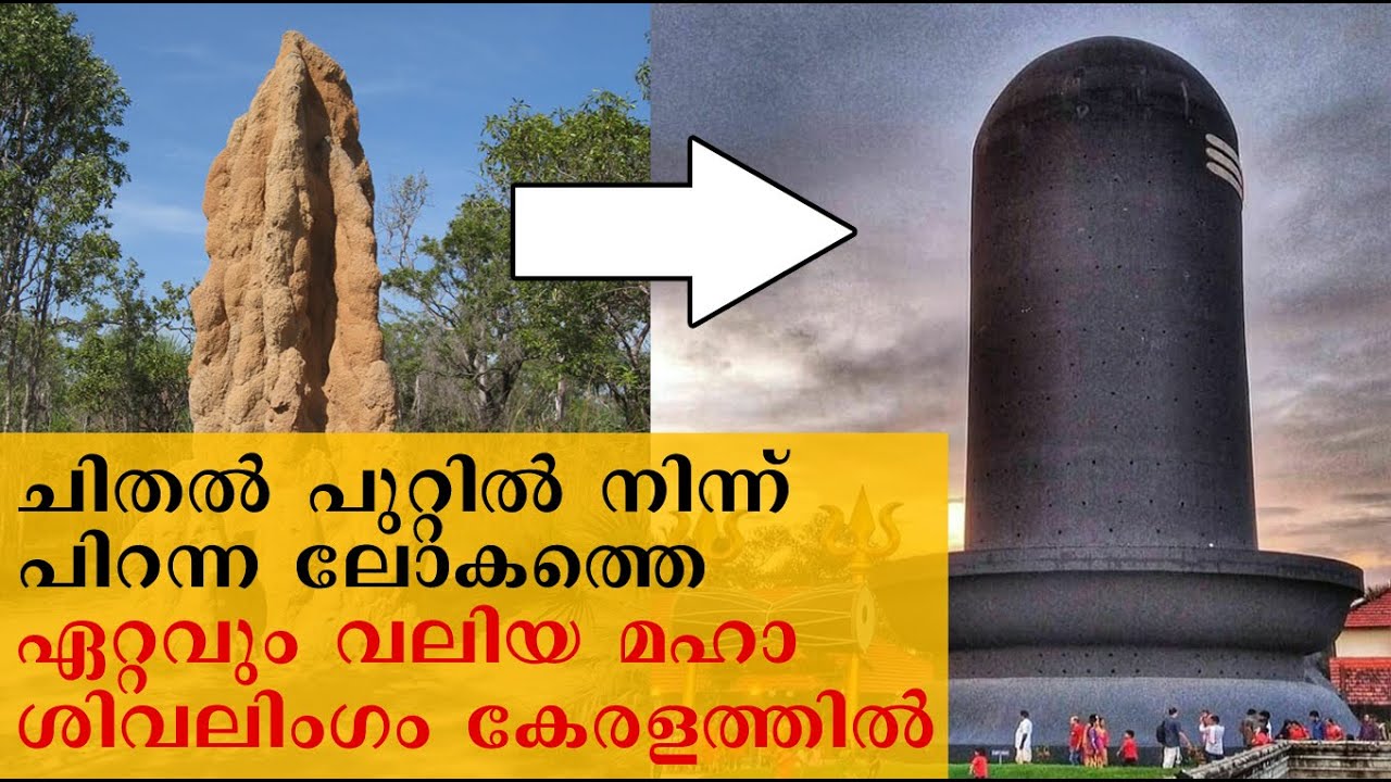 ചിതല്‍ പുറ്റില്‍ നിന്ന് പിറന്ന ലോകത്തെ ഏറ്റവും വലിയ ശിവലിംഗം| Chenkal ...