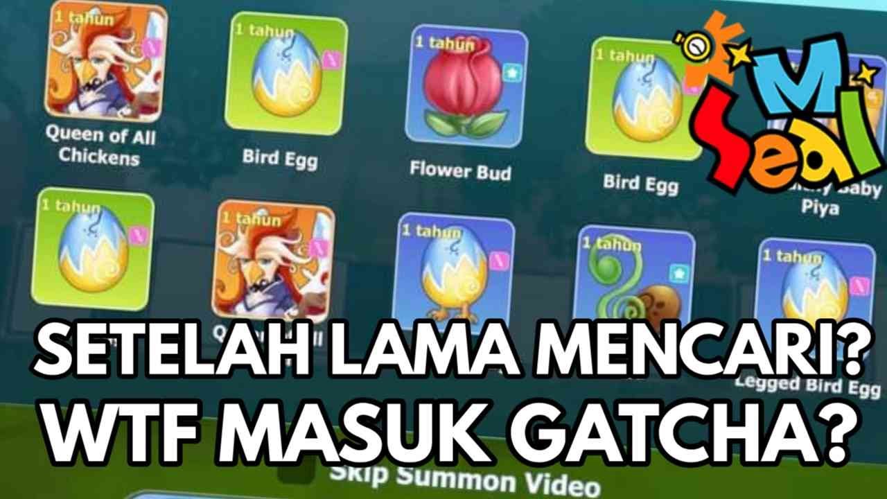🔴[LIVE] LOH LOH LOH PATCH NOTE SEAL Mobile | SEAL M Sea Indonesia - YouTube