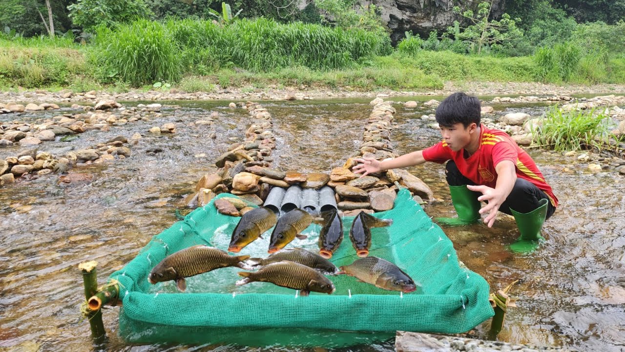 The boy Lam's fishing skills, using PVC pipes and nets to make fish ...