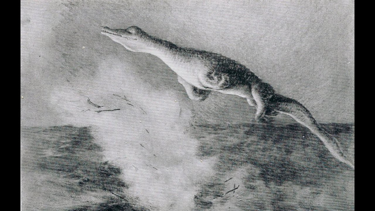 Cryptids and Monsters: U-28 Creature, a 60-foot long crocodile-like ...