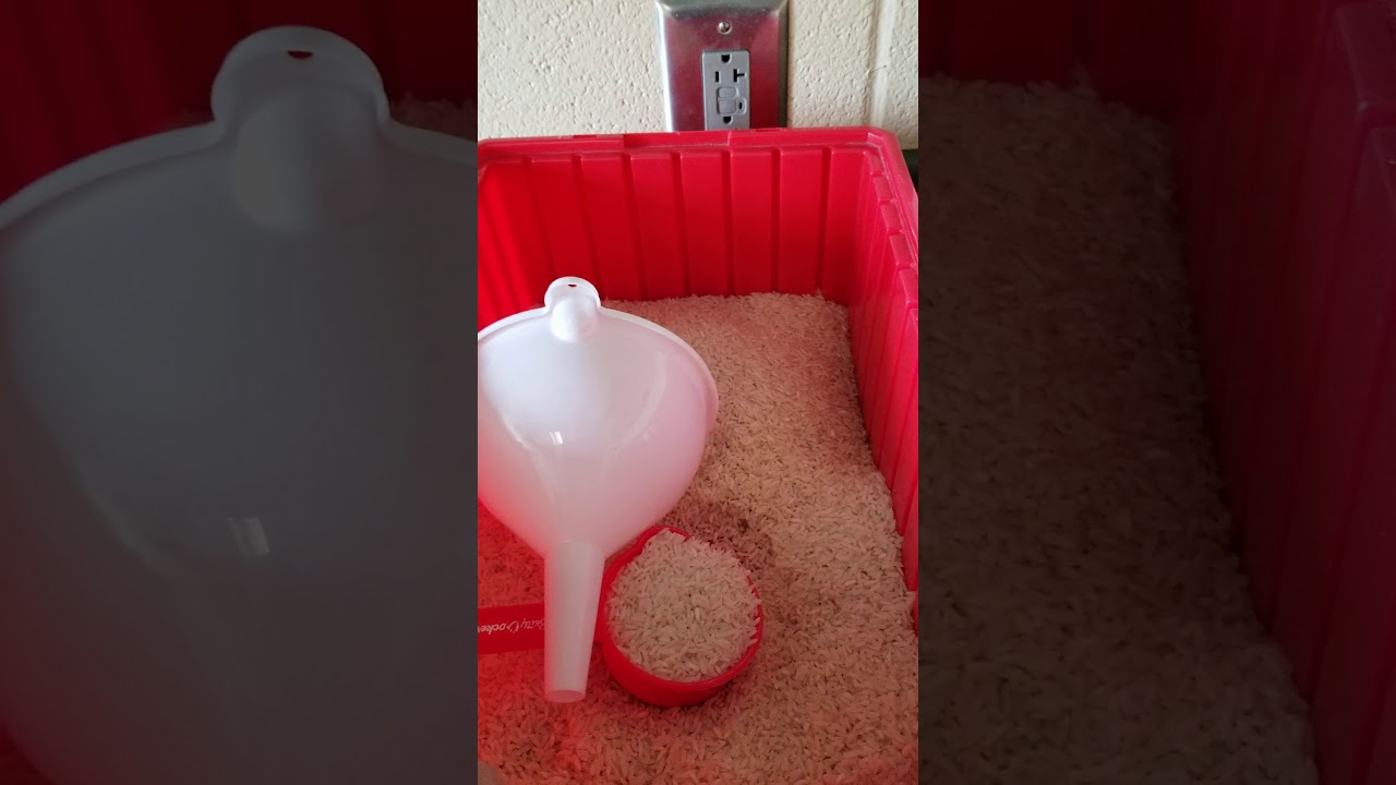 measuring rice - YouTube