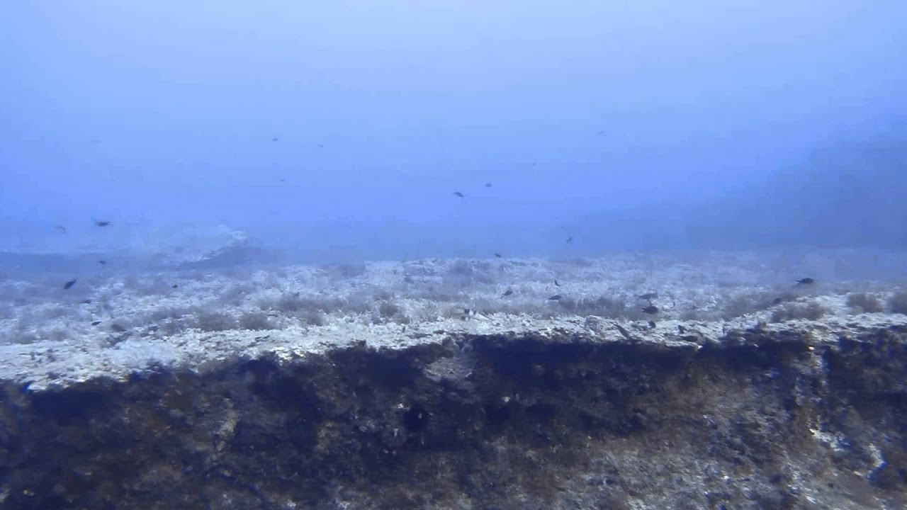 Merkanti Reef, St. Julians, Malta - YouTube