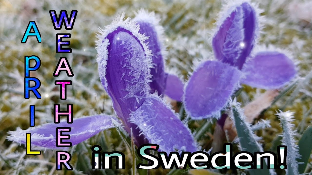 Setback! It's April || April Weather in Sweden - YouTube