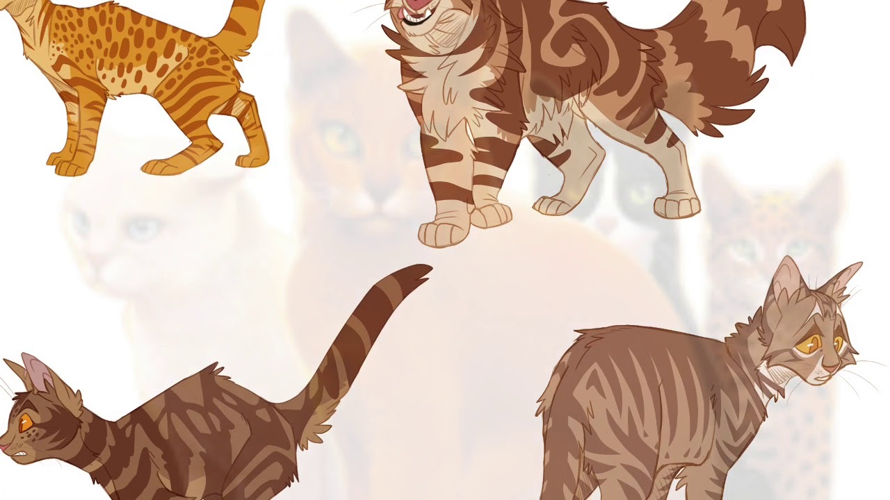 Warrior Cats Untold Tails (Official Trailer) - YouTube