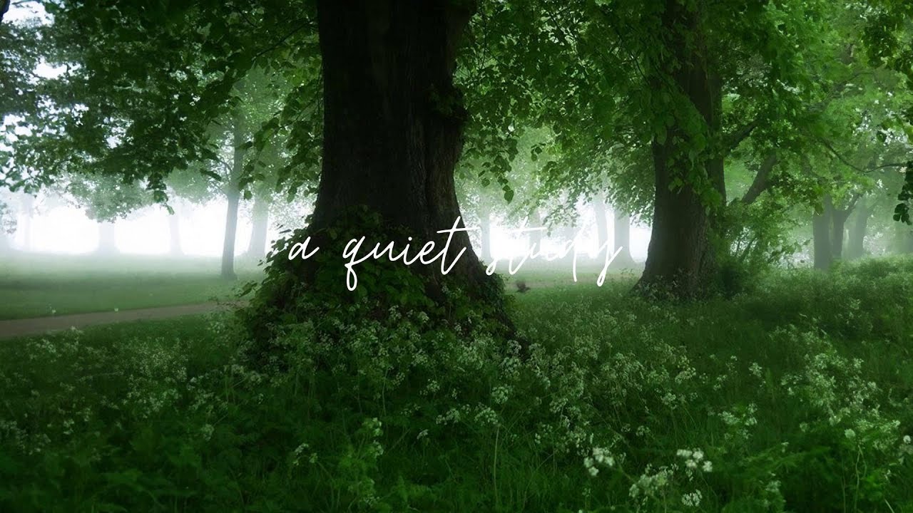 a soothing playlist for a quiet spring day - YouTube