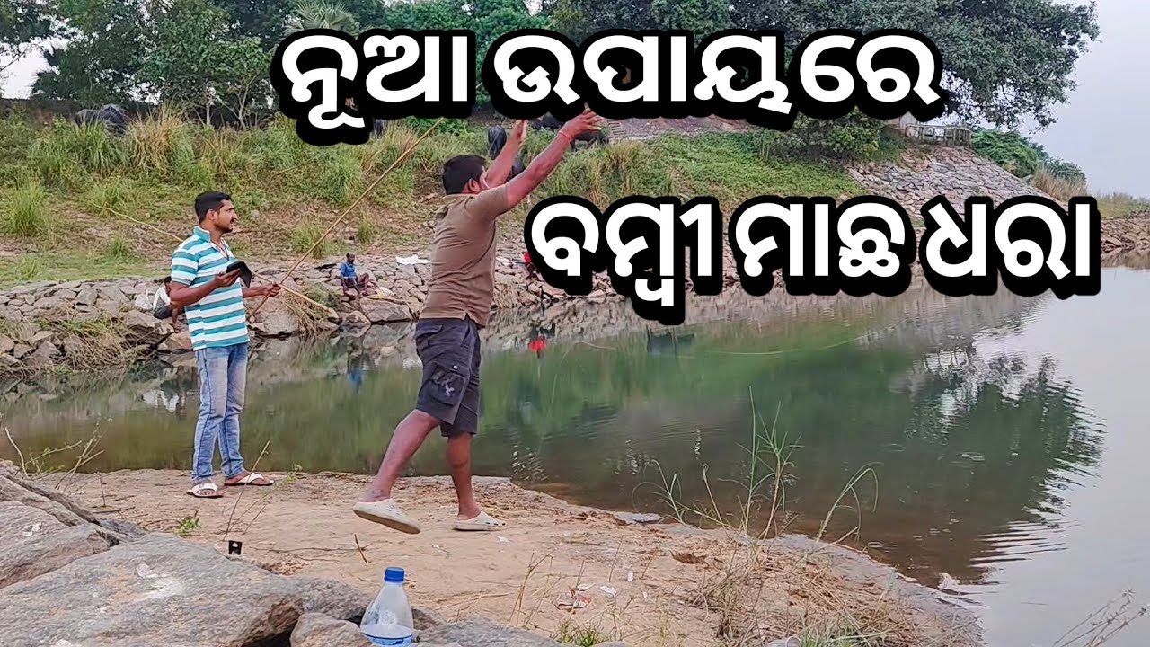 ନୂଆ ଉପାୟରେ ବମ୍ବୀ ମାଛ ଧରା / nua upaya re bambi macha dhara / fish ...