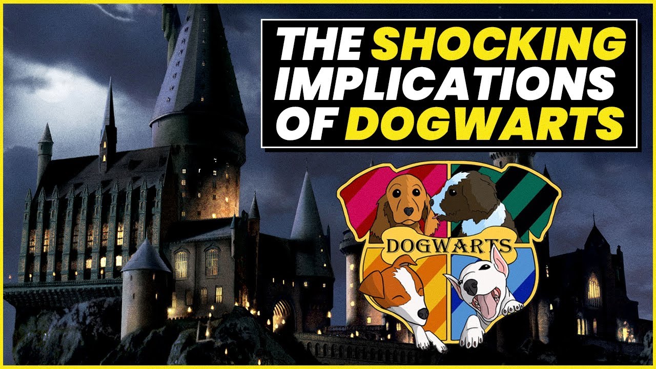 Dan Explains The Dark Realities of Dogwarts - YouTube