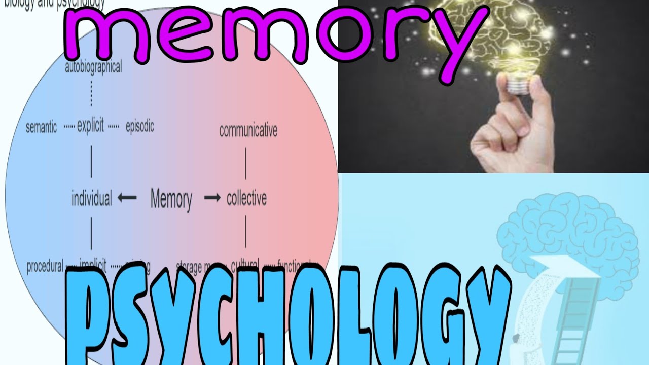 Memory unlimited (psychology) - YouTube