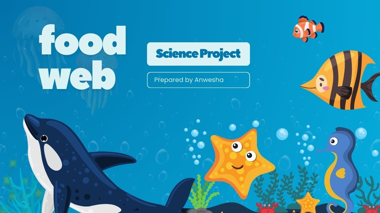 Food Web | Demonstration of Food Web through model | Science | Studio ...