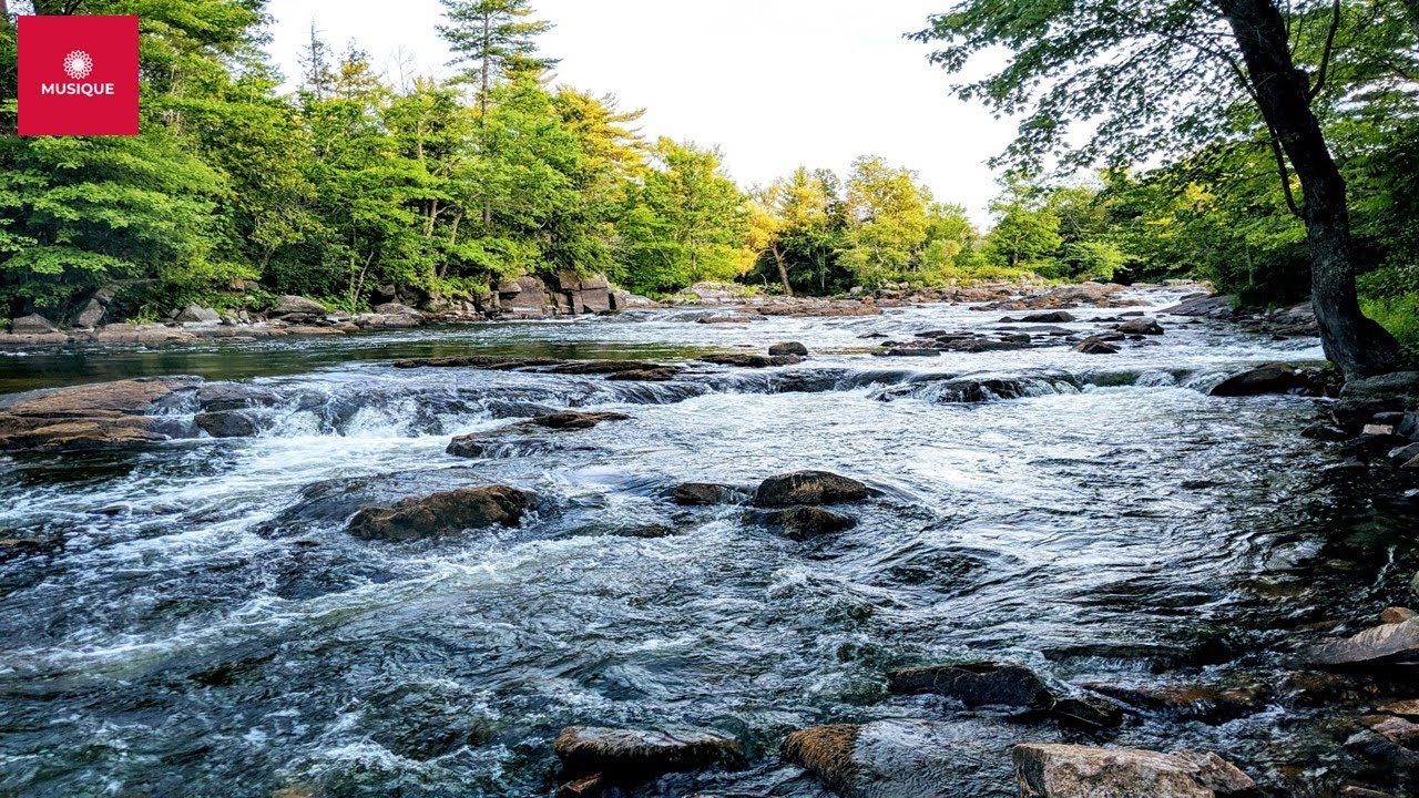 Relaxing music with Soothing Sounds of River l Nature Sounds, Stress ...