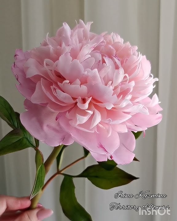 Пион из холодного фарфора. Peony made of polymer clay. Handmade. - YouTube