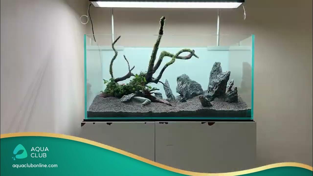 VOICE OF NATURE - NEW 90P AQUASCAPE -AQUA CLUB - YouTube