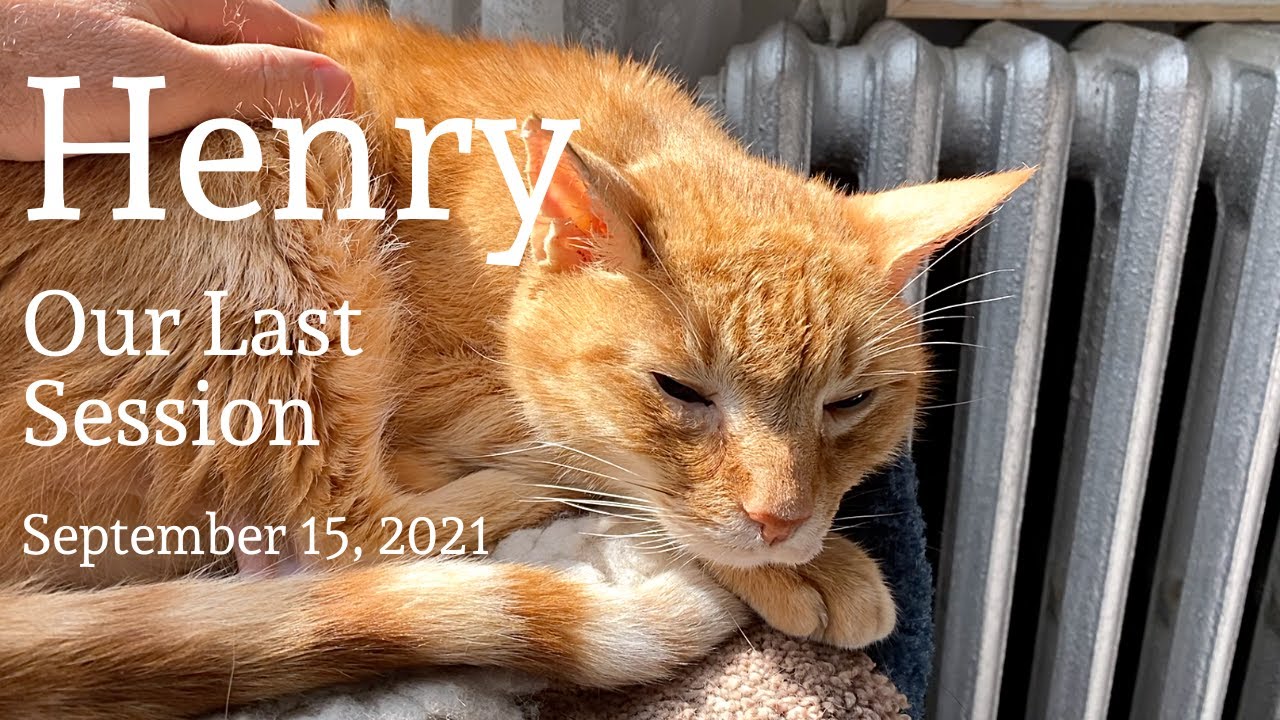 Henry — Our Last Session, September 15, 2021 - YouTube