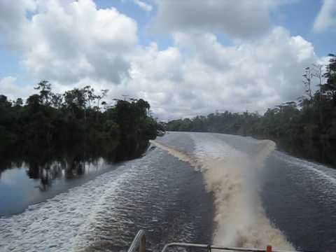 Boat pirogue ride african jungle Gabon 🇬🇦 - YouTube