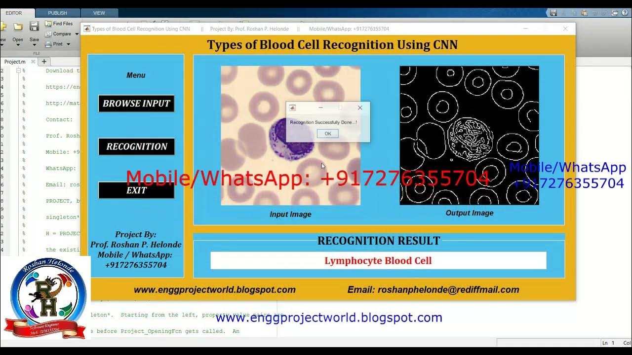 Blood Cell Type Recognition Using CNN Matlab Project With Source Code | Blood Cell ...