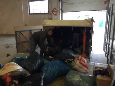 Free Shingal - YouTube