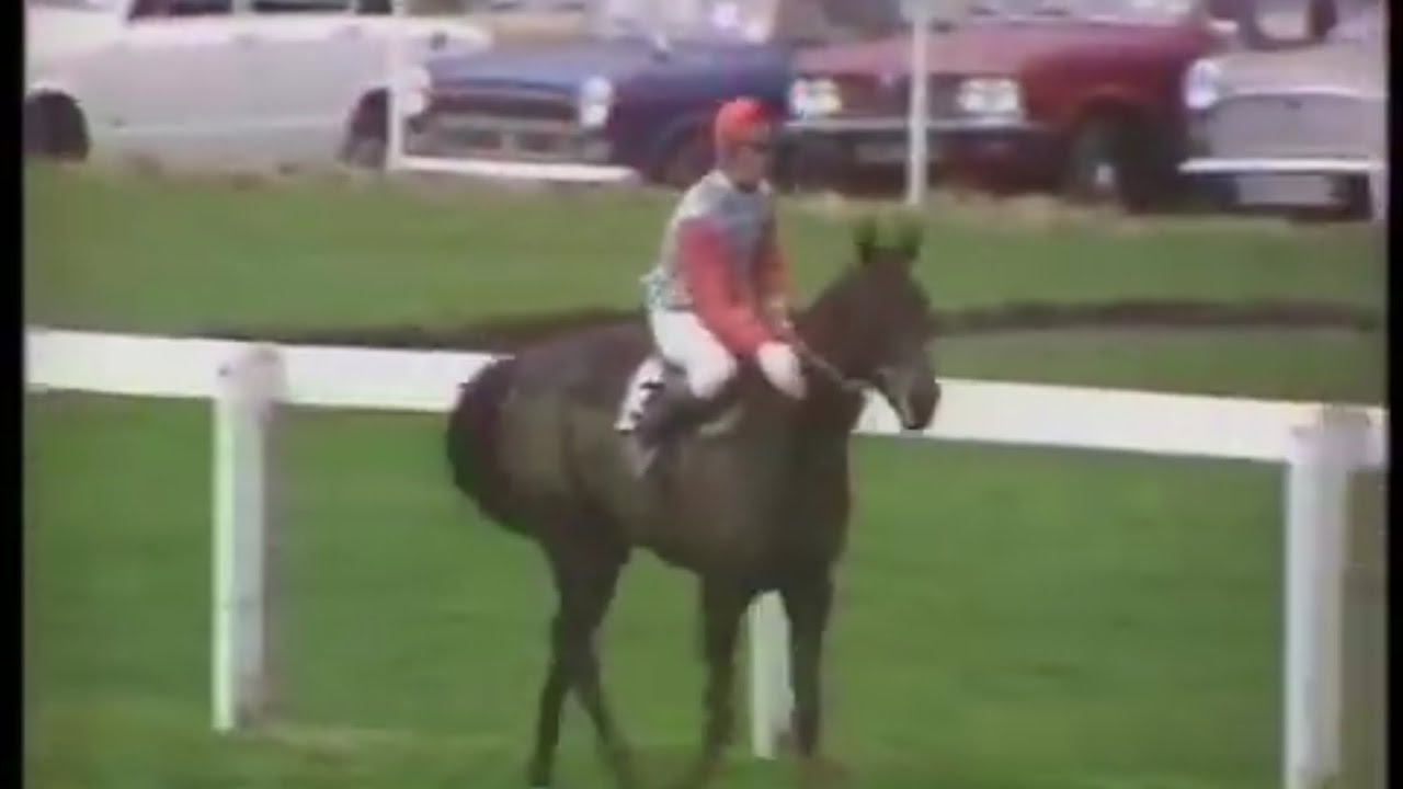Ron Barry Canters home on Sea Pigeon at Newcastle 11/1/1975 Racing ...