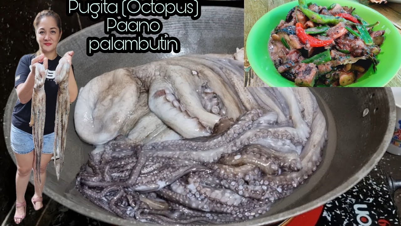 Pugita na Buhay (Live Octopus) | Paano palambutin at lutuin? #Octopus ...