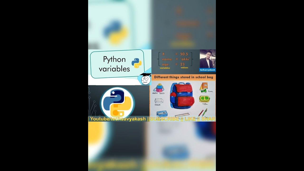 Variables In Python Programmingpythonshortspythonbasics Shorts Pythonprogramming