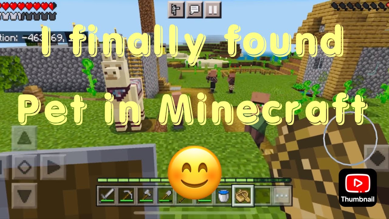 I finally found Pet in Minecraft - YouTube