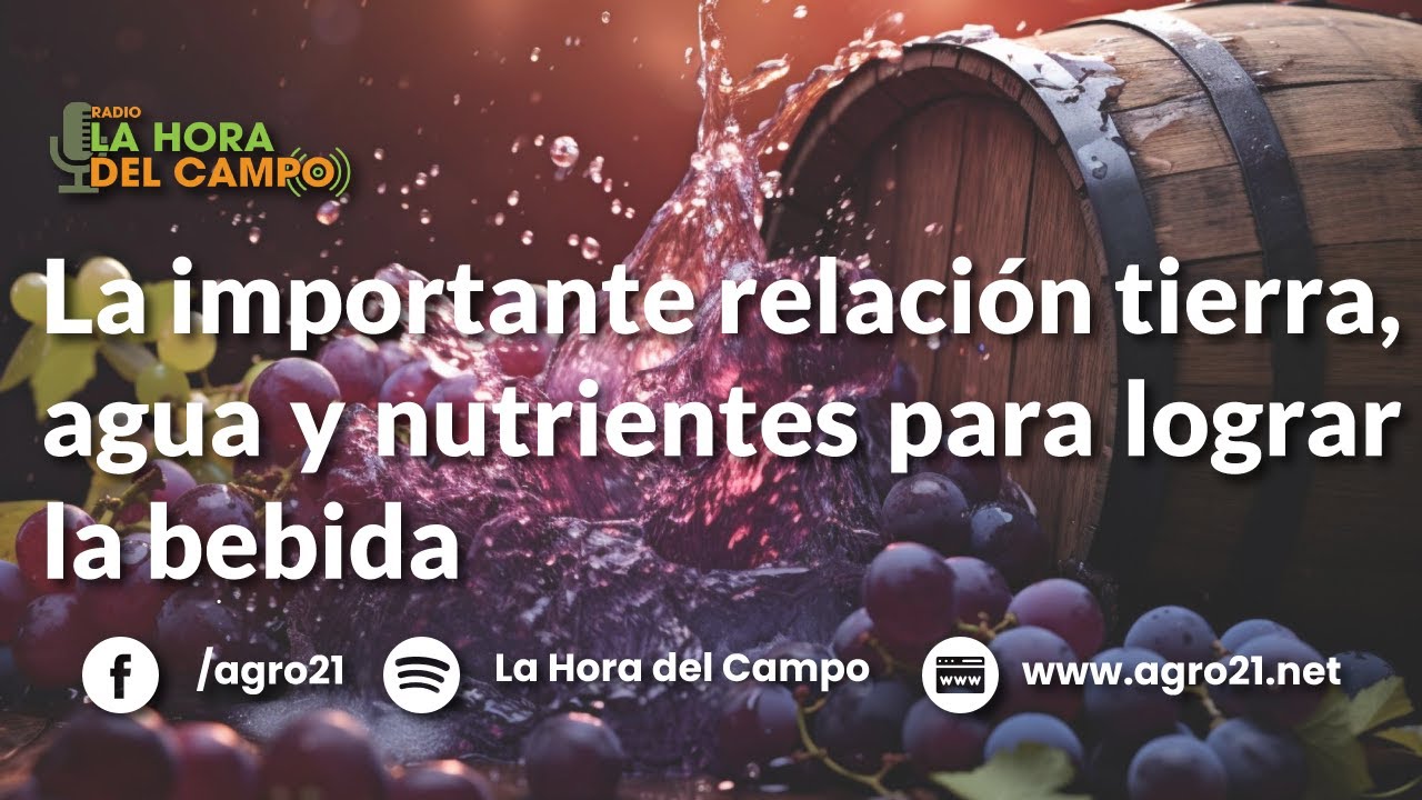 La importante relación tierra, agua y nutrientes para lograr la bebida ...