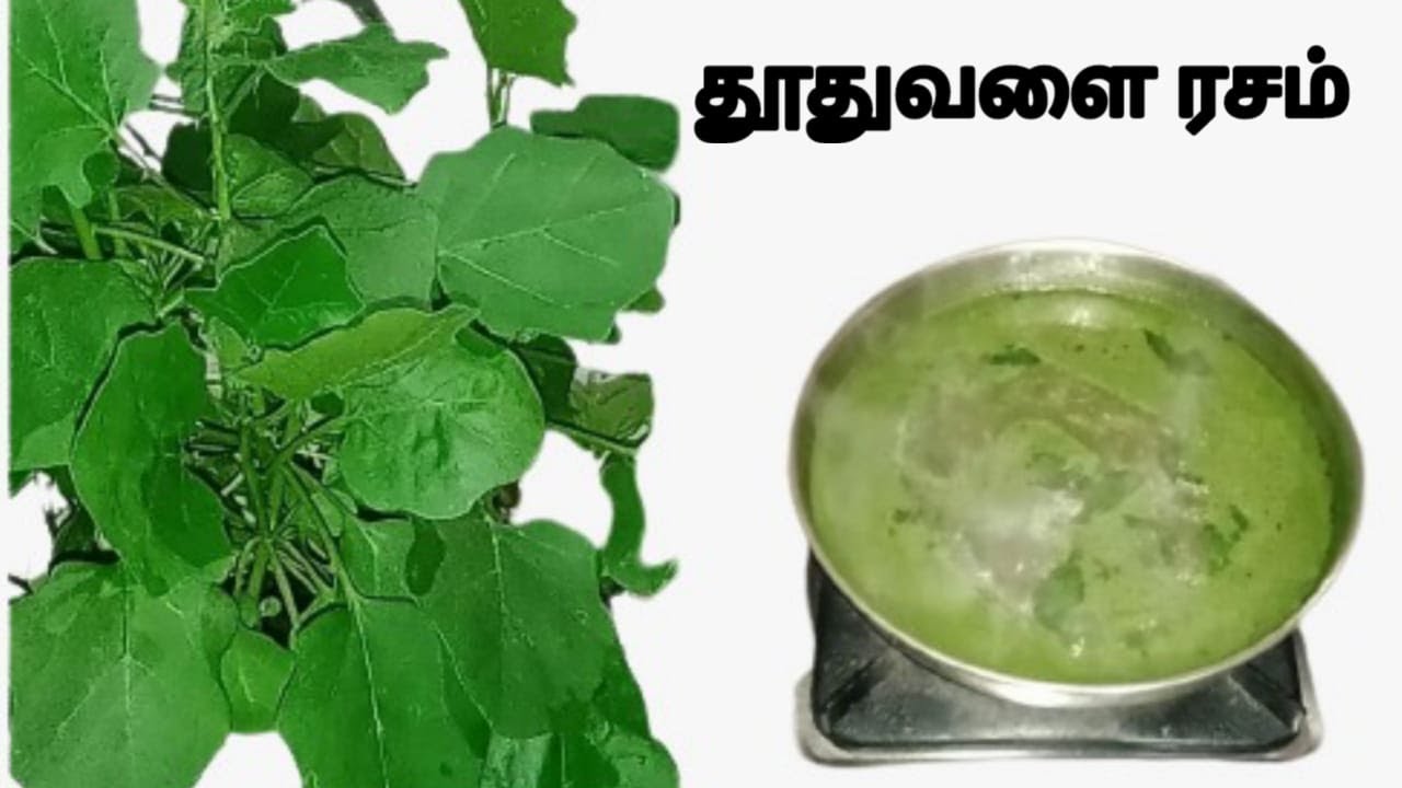 Thuthuvalai Rasam // Rasam Recipe in Tamil //தூதுவளை ரசம் - YouTube