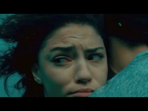 Piranha 3D Underwater Scene