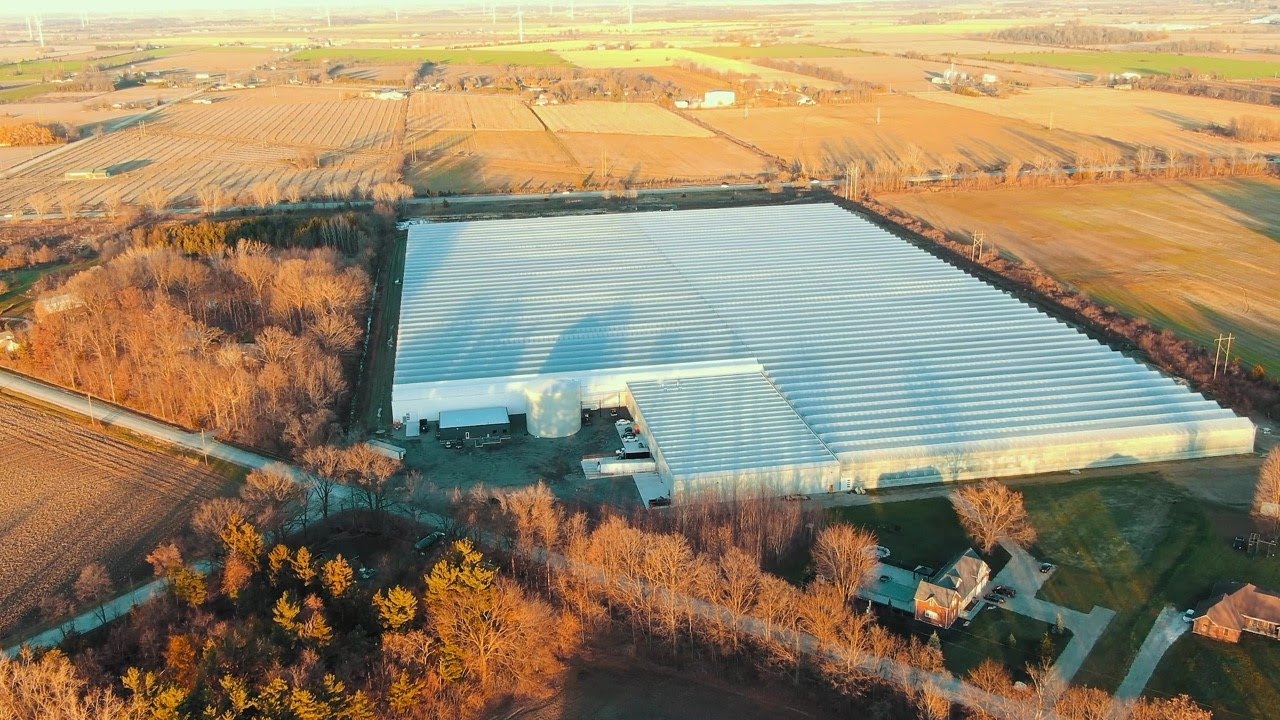 Denva Greenhouse's Inc. - YouTube