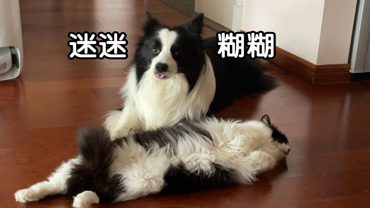 这谁顶得住啊~ Youtube