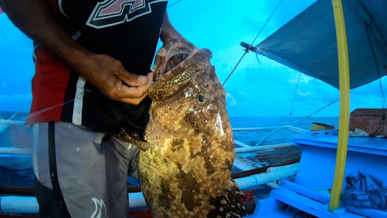 1st episode - Catching Grouper - YouTube