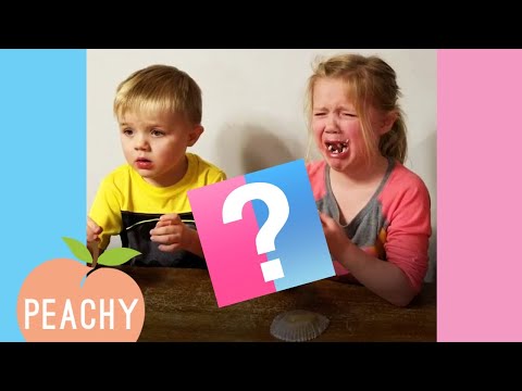 [1 Hour] Best Baby Gender Reveals 🎉  | Cute and Funny