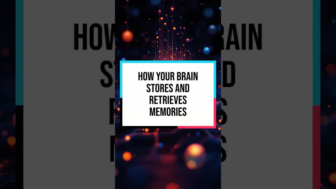 How Your Brain Stores and Retrieves Memories - YouTube