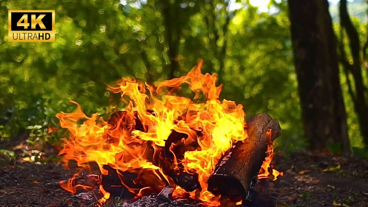 🔥 Cozy Forest Campfire 4K ULTRA HD! - Natural Ambiance, Crackling Fire ...