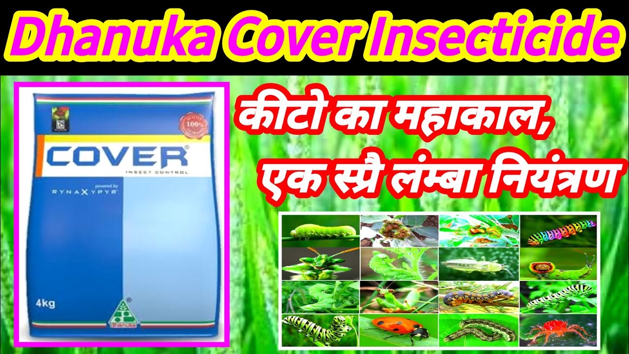 dhanuka Cover insecticide|Chlorantraniliprole-18.5%SC| cover ...