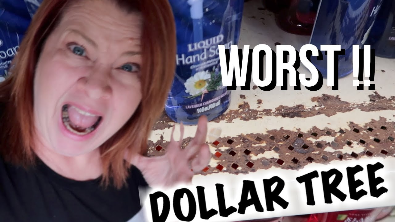Shopping At The Worst Reviewed Dollar Tree in My City ! - YouTube