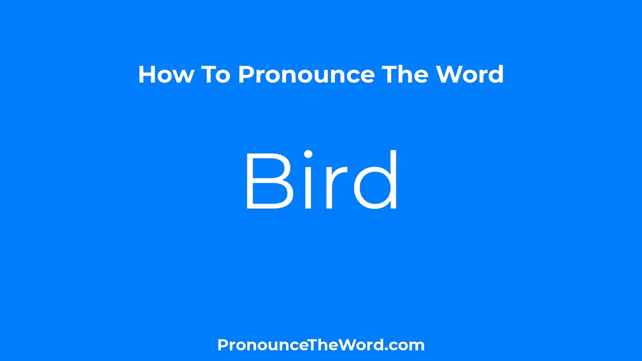 How To Say Bird | Pronounce Bird Like Native English Speakers ...