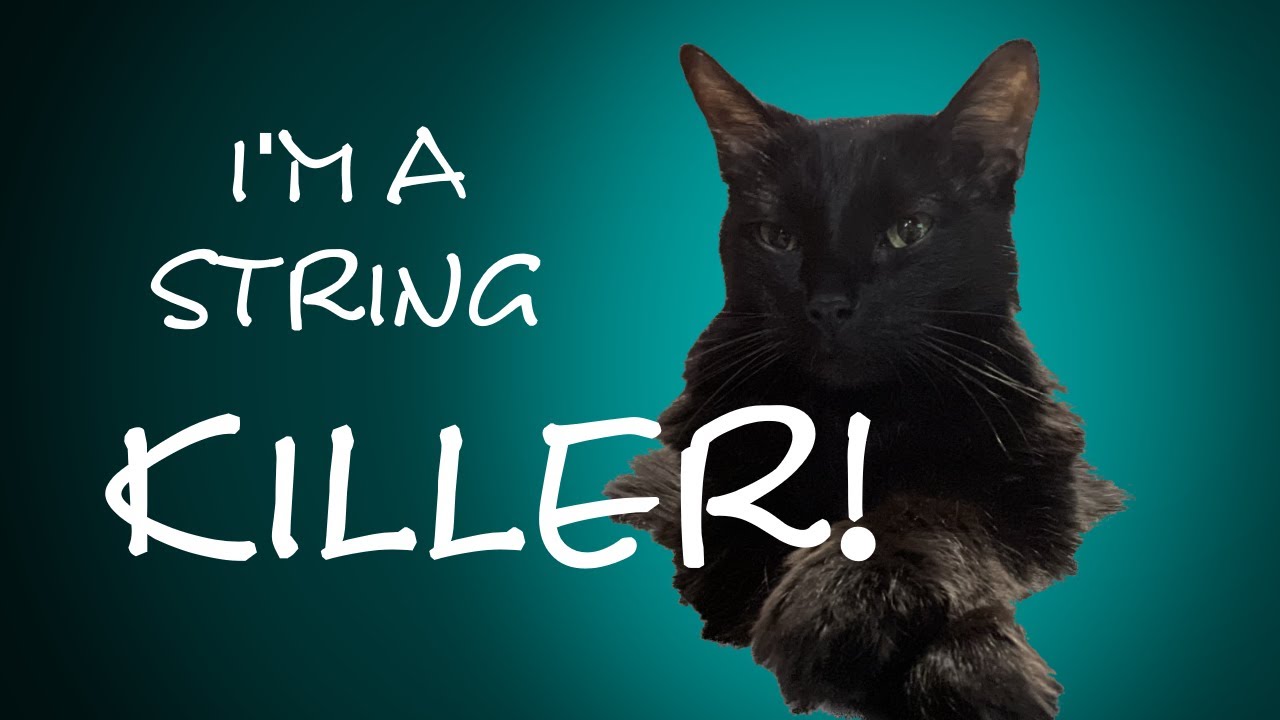 I'm A String KILLER! - YouTube