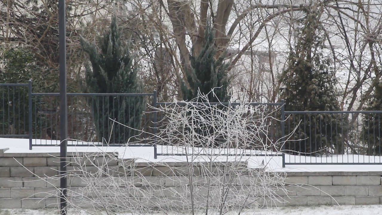 WINTER WEATHER UPDATE | GALLATIN, TN - 2/15/2021 - YouTube