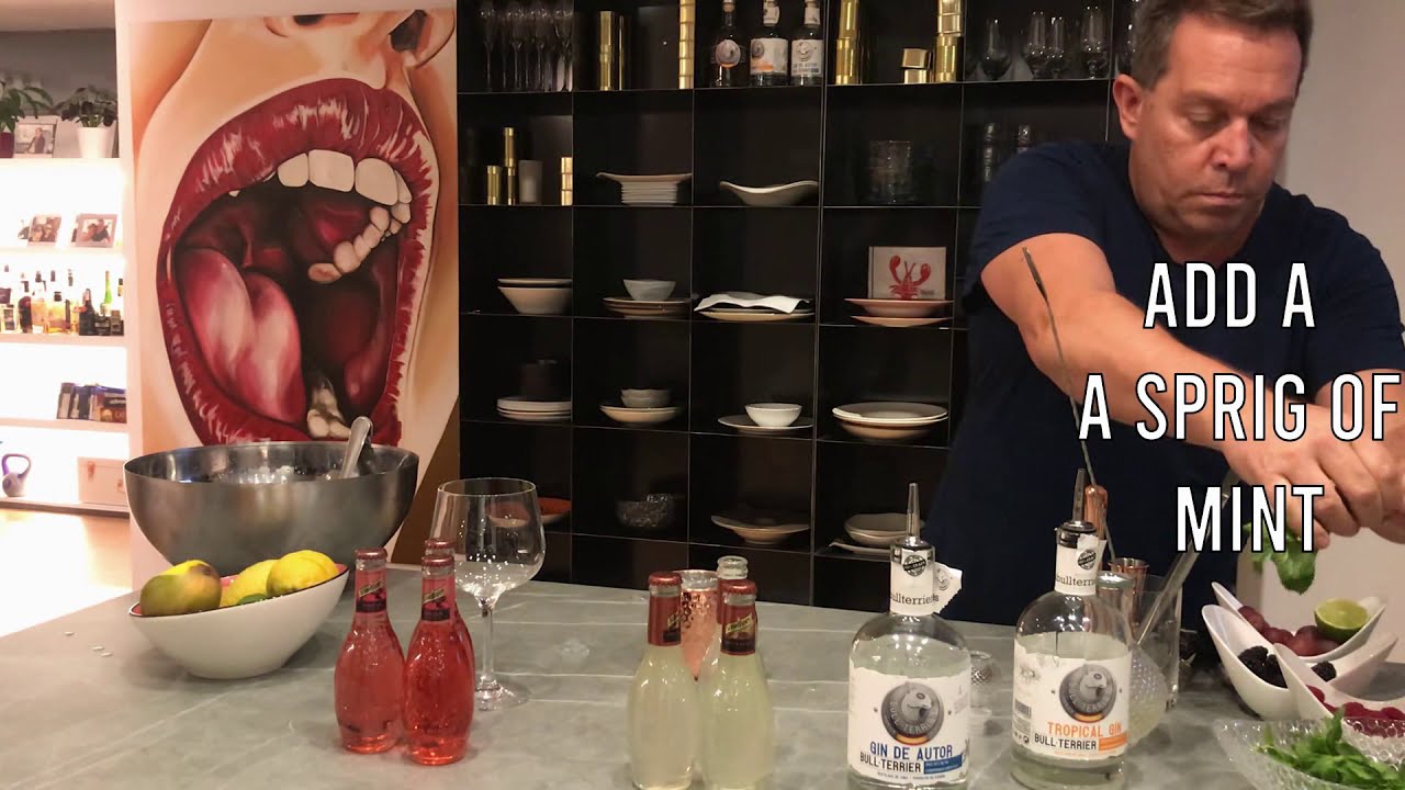 How to make a Gin Mule Bull Terrier - Spanish Gin Bull Terrier - YouTube