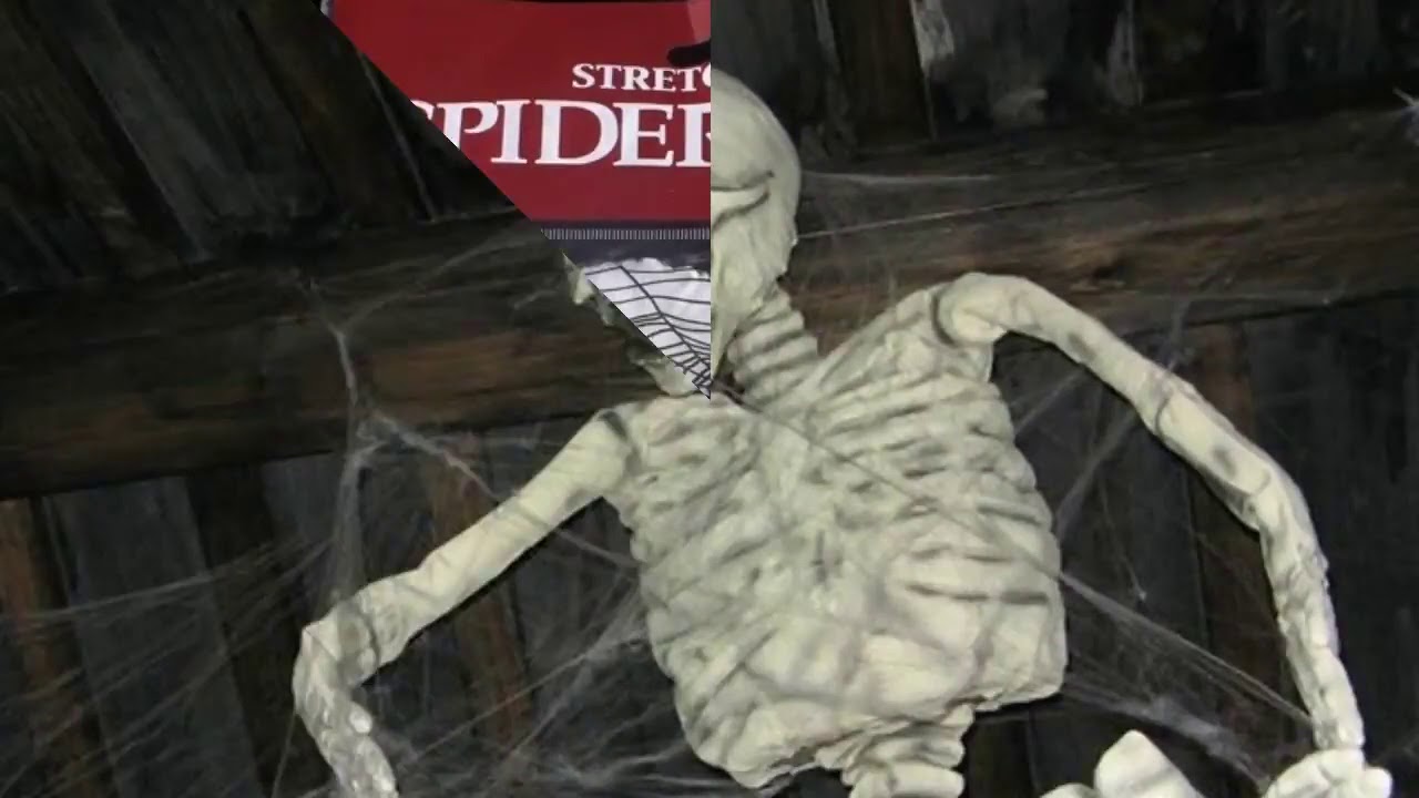 Lifelike Cotton Fake Spider Web and 5colors Spiders Halloween Cobwebs ...