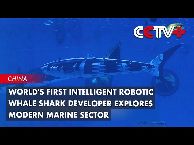 Real Robot Sharks MEDIA RELEASE: Campaigners Welcome China's Robot