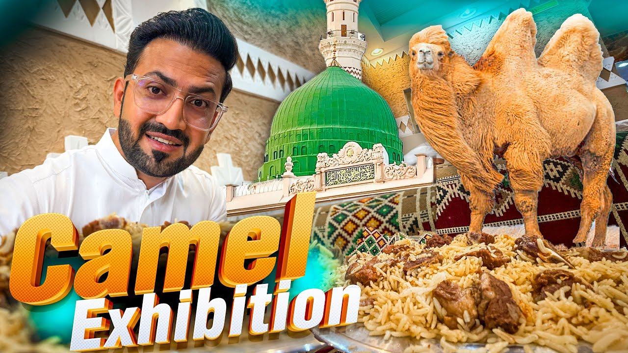 Going to Madina | Camel Exibition And Camel Meat Dish - YouTube